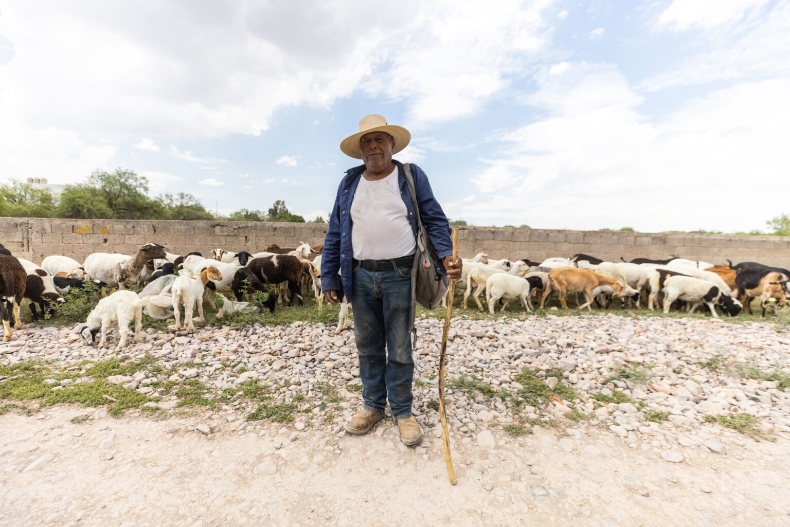 Governance - Orla Mining